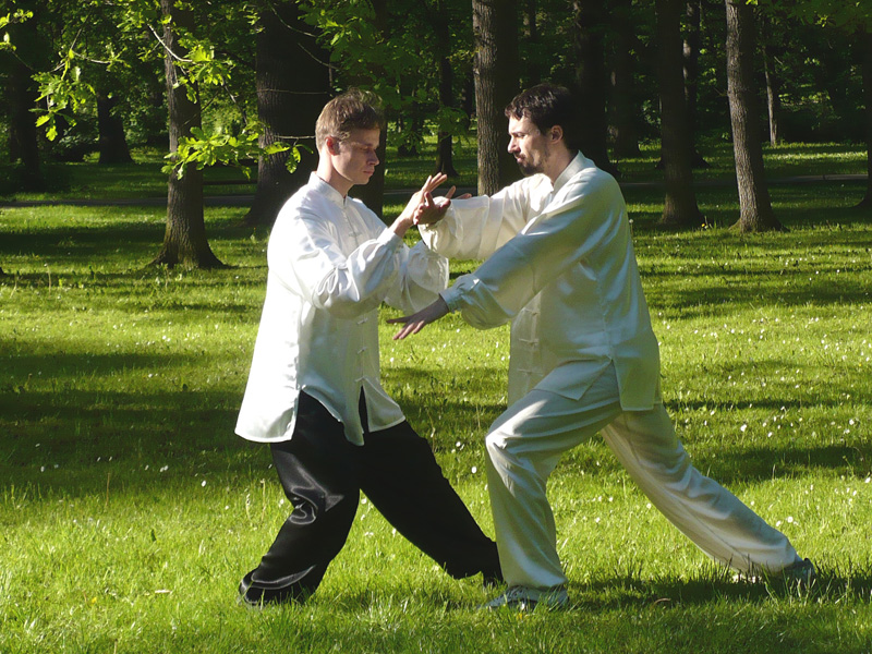 Párová sestava tchaj-ťi :: Česká asociace taijiquan